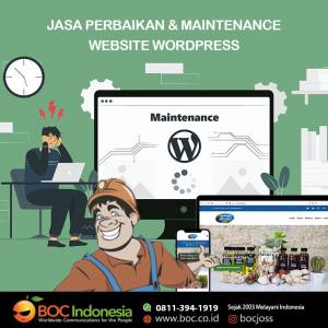 Jasa Maintenance Wordpress